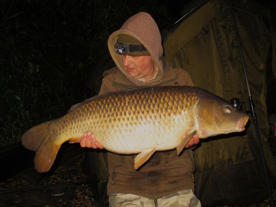 Mint Common | Total Carp